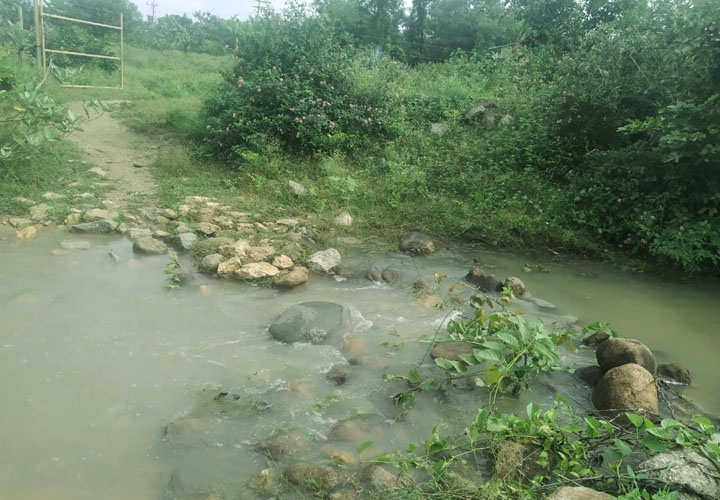 MANGO MIST FARMS – MYFRA INDIA Pvt. Ltd.