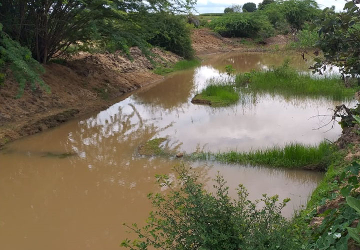 MANGO MIST FARMS – MYFRA INDIA Pvt. Ltd.