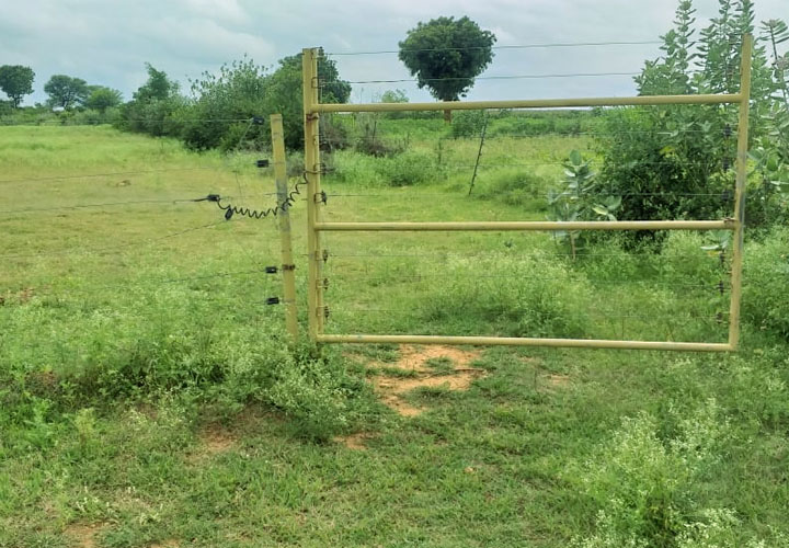 MANGO MIST FARMS – MYFRA INDIA Pvt. Ltd.